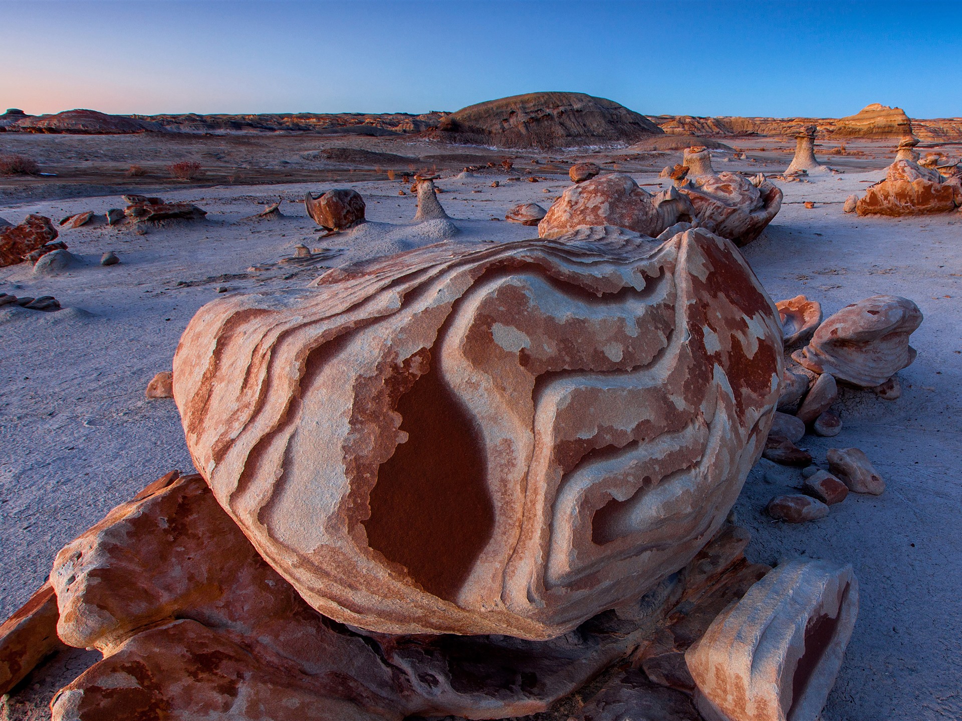Wilderness Alien Hatchery New Mexico - KDE Store