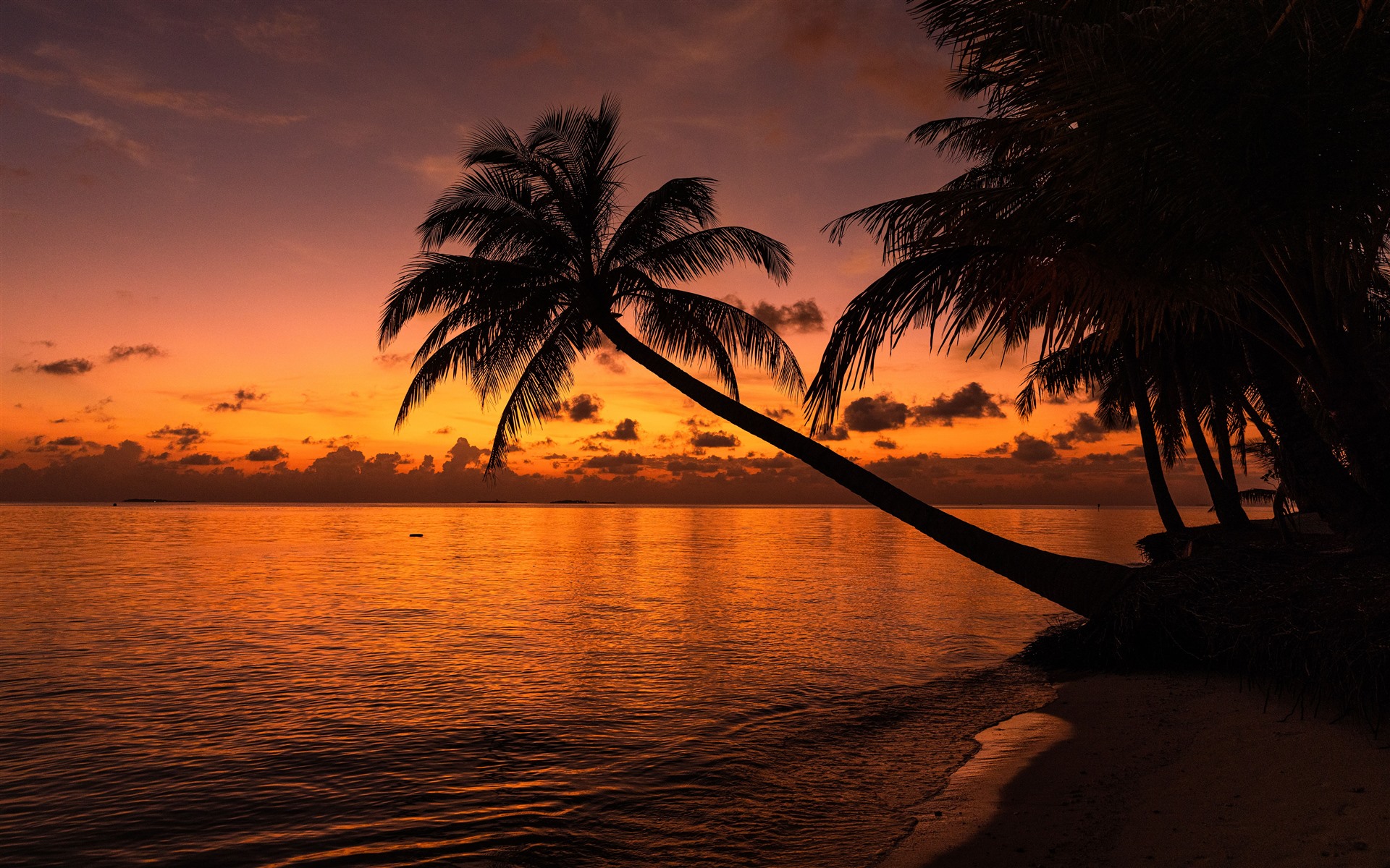 HD picture - KDE Store