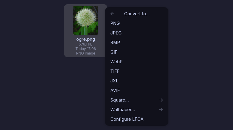 Linux file converter addon - addons.videolan.org