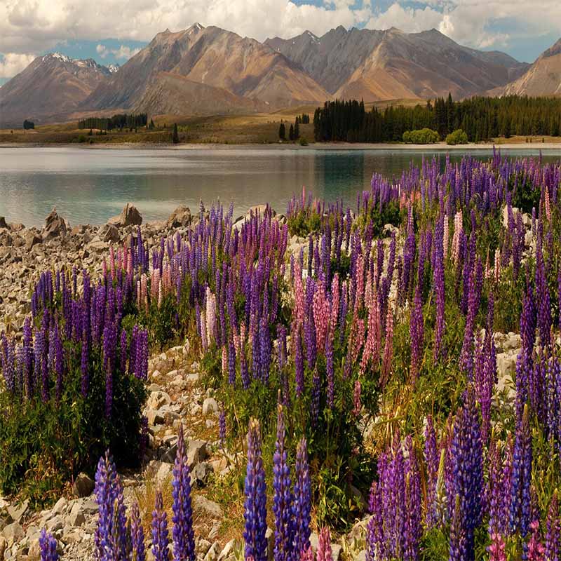 Mountains - KDE Store