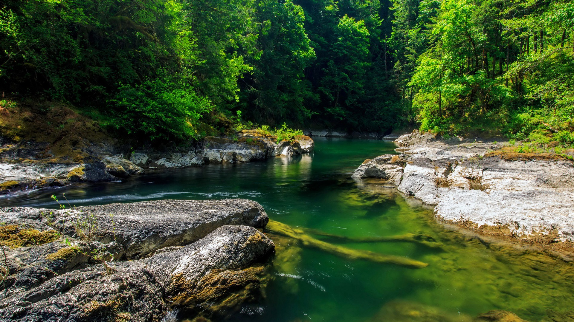 Spring Stream Wallpaper