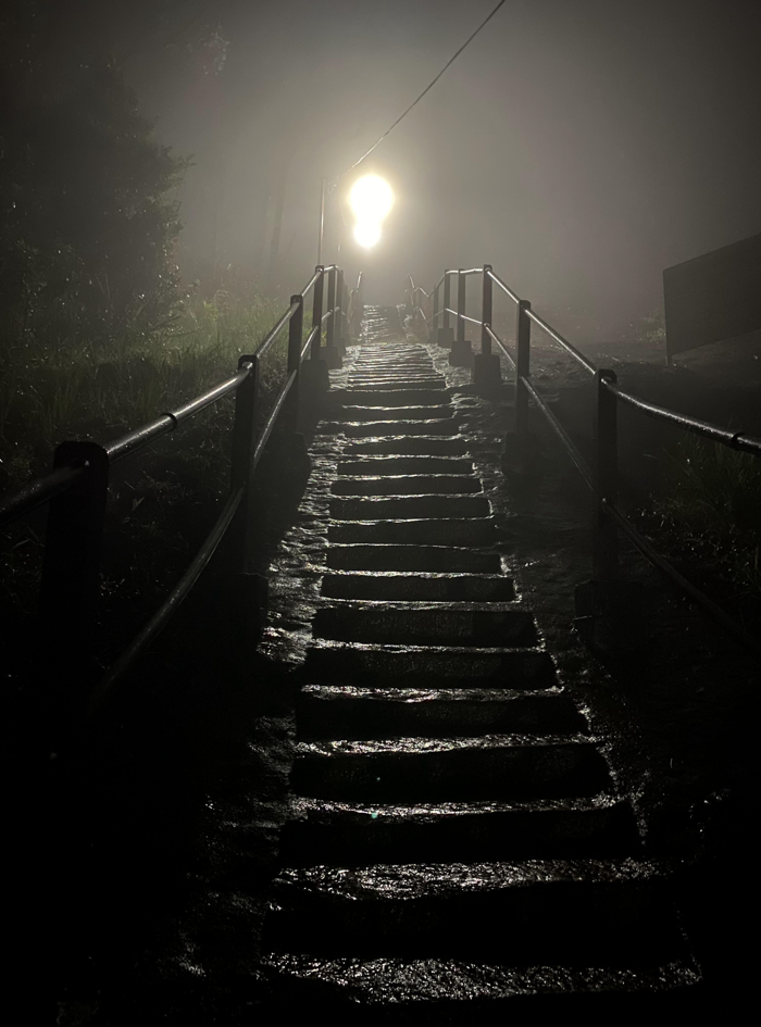 nature in Night - KDE Store