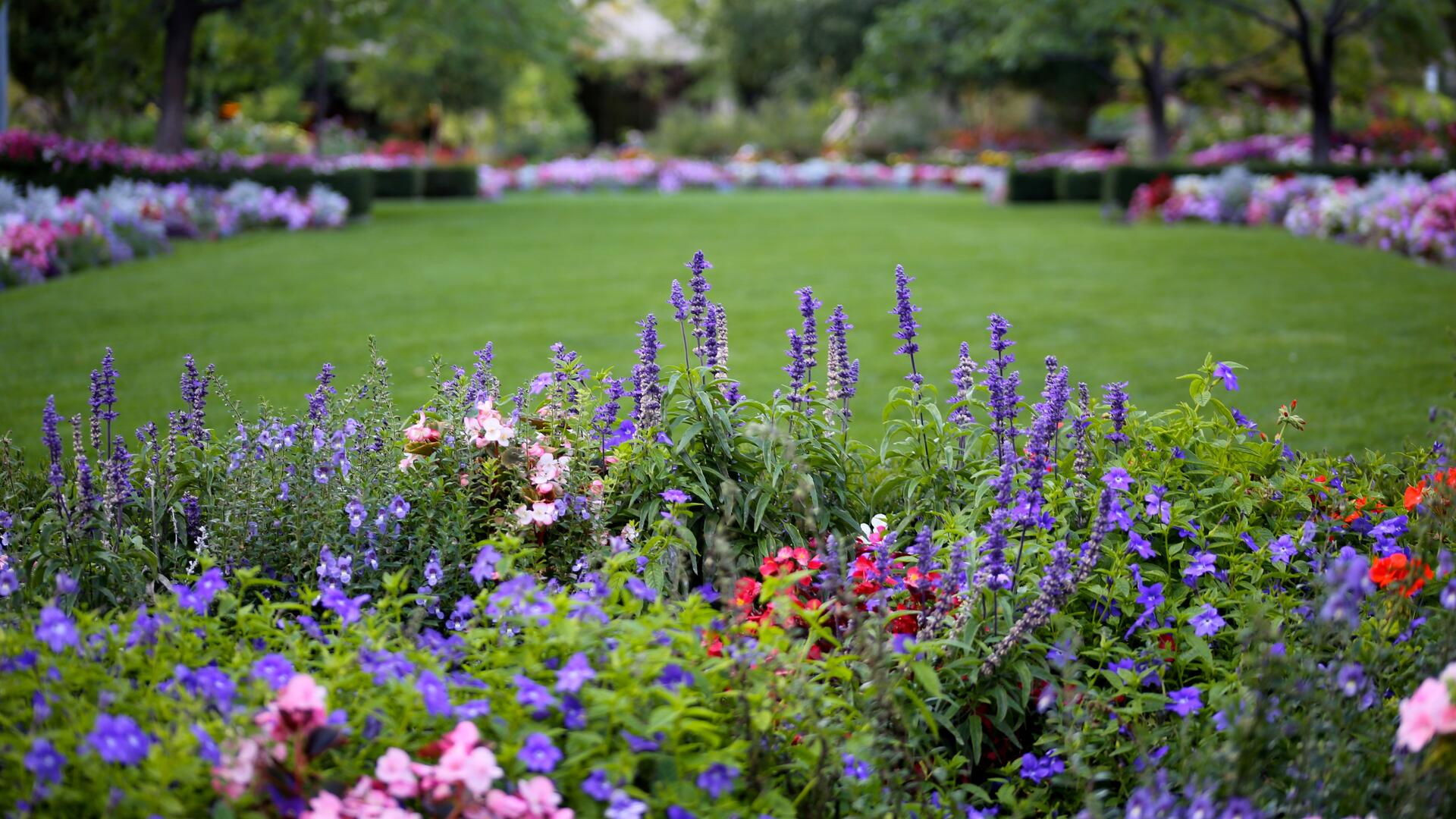 Flower Garden Wallpaper - KDE Store