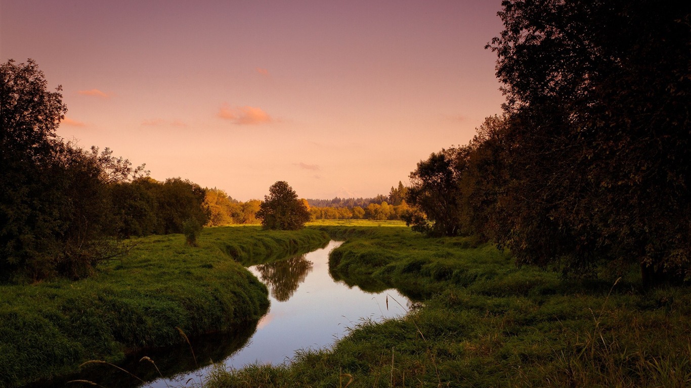 trees river channel grass summer-Beautiful Nat.. - KDE Store