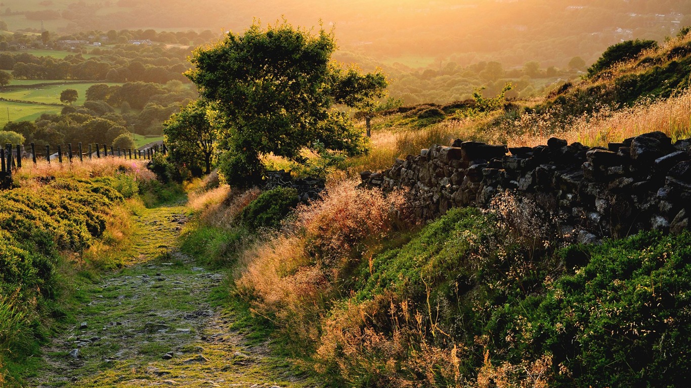 old trail-Summer Nature HD Wallpaper - KDE Store