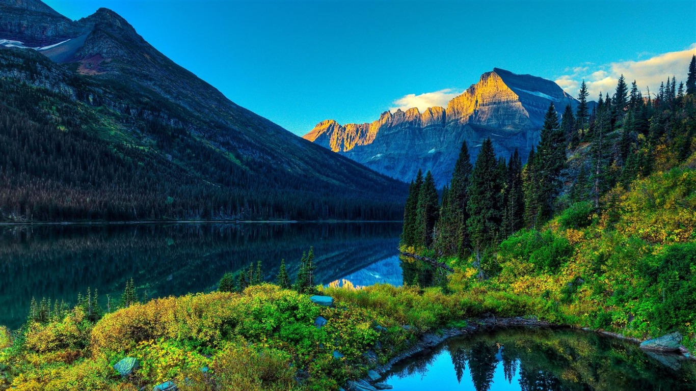 Green Forest Nature-Nature Landscape Wallpaper - KDE Store