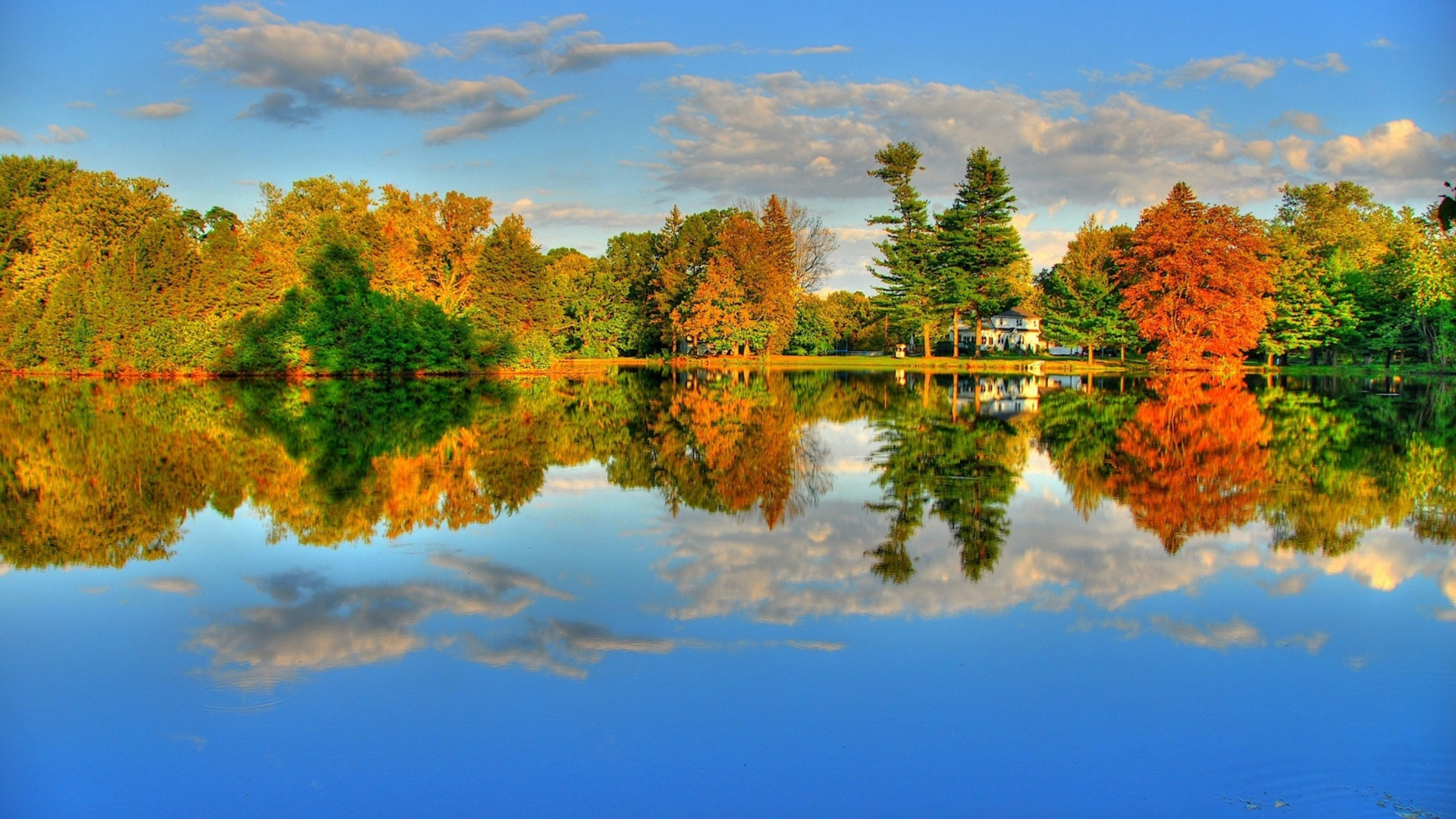 Green Trees Beside Lake Under Blue Sky During Daytime Full - KDE Store