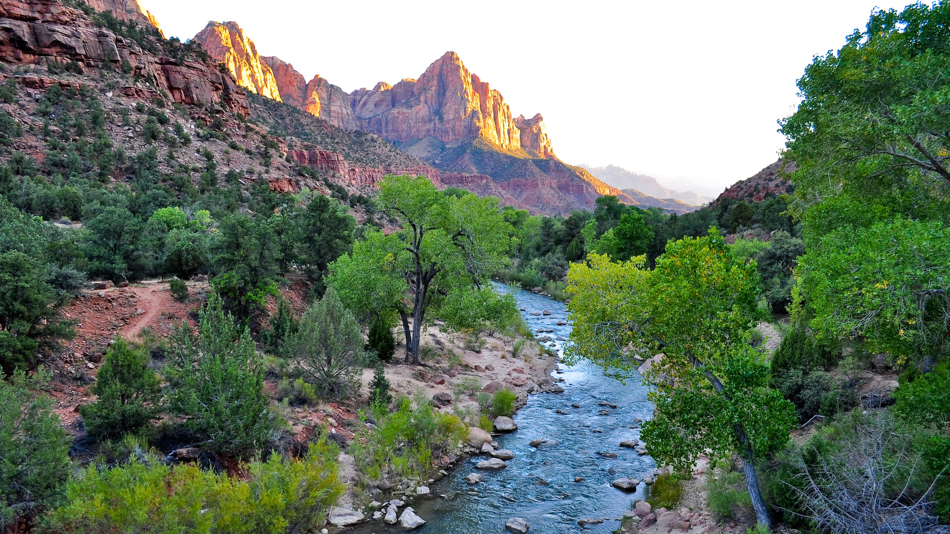 Green Trees Near River During Daytime Full HD - KDE Store