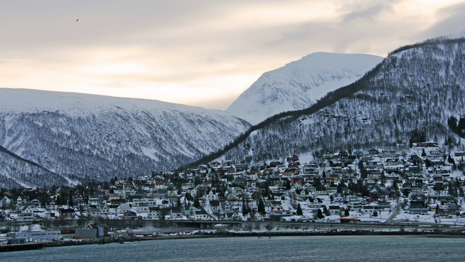 White and Brown Houses Near Mountain Under White Sky During - KDE Store