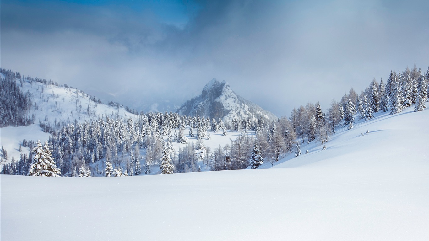 Forest winter alps snow mountain fog - KDE Store