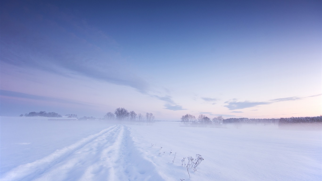 Snow winter field-2016 Nature HD Wallpaper - KDE Store
